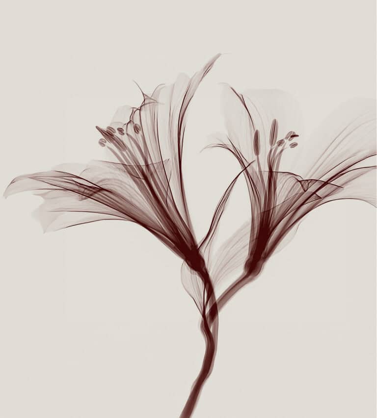 Radence | Precision Medicine Backed by Leading Scientists